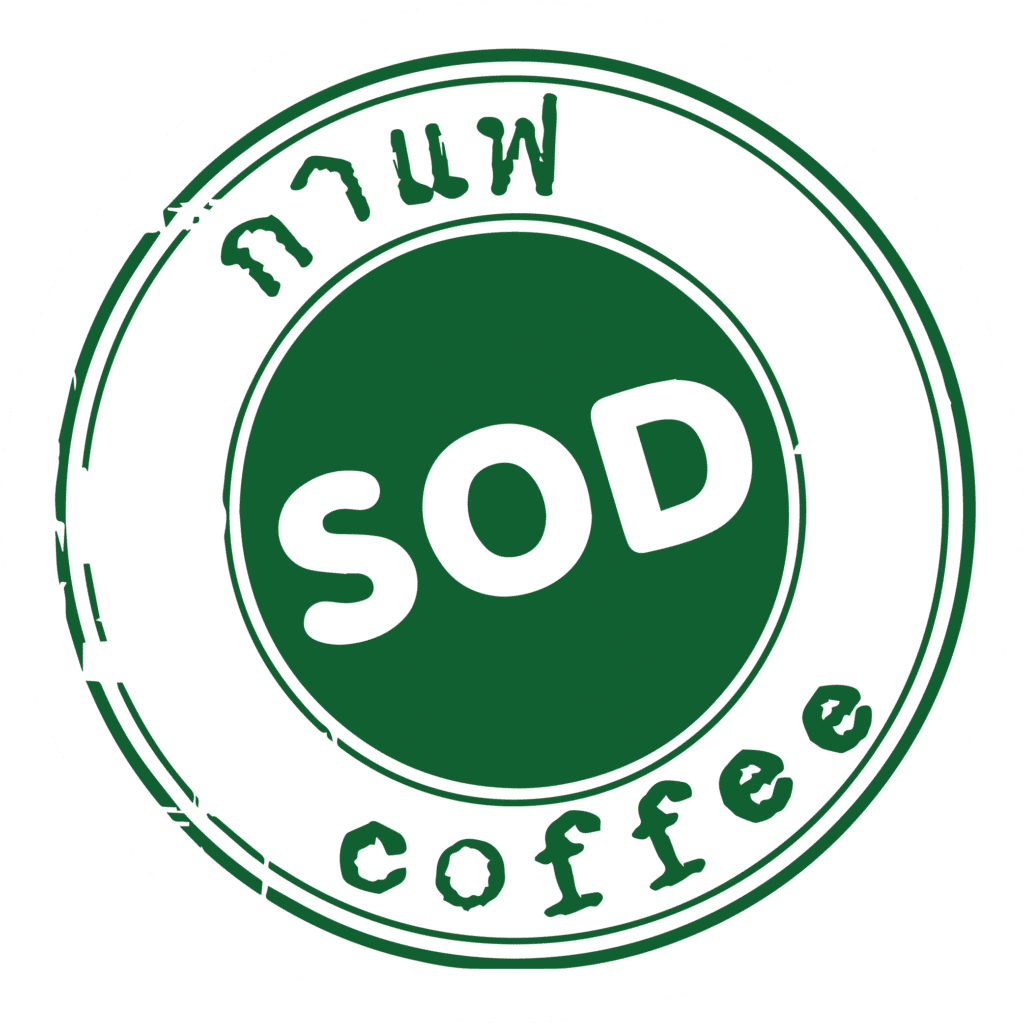 Everyday Coffee - CloudyHillCoffee